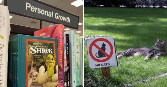 45 Funny And/Or Random Pictures Guaranteed To Make Your Day More ...