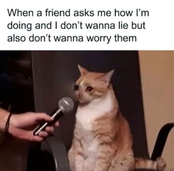 45+ Hilarious And Totally Relatable Friendship Memes That'll Have You ...