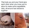 45+ Hilarious And Totally Relatable Friendship Memes That'll Have You ...