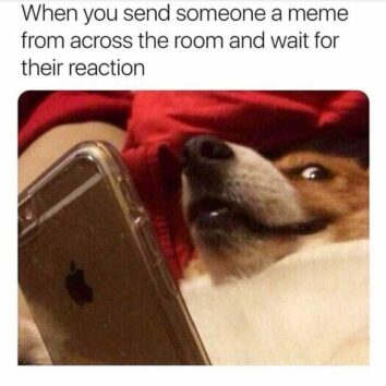 45+ Hilarious And Totally Relatable Friendship Memes That'll Have You ...