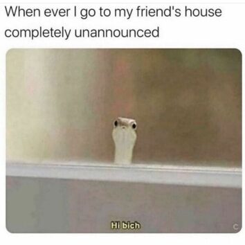 45+ Hilarious And Totally Relatable Friendship Memes That'll Have You ...