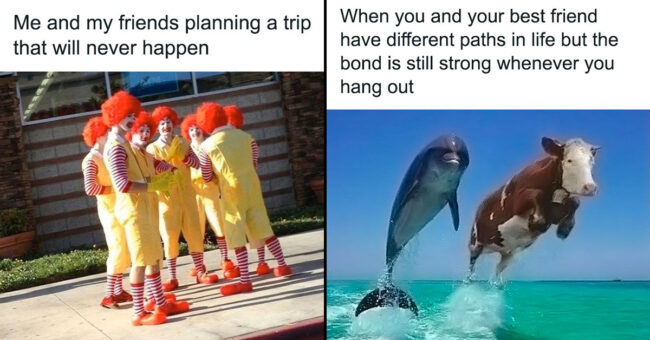 45+ Hilarious And Totally Relatable Friendship Memes That'll Have You ...