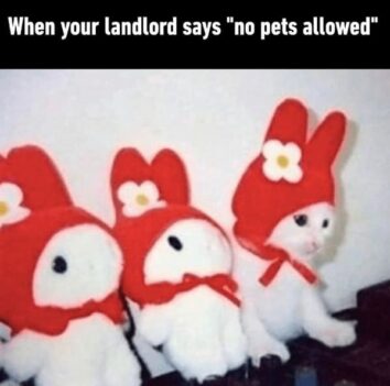 40 Hilarious Memes Every Renter Will Appreciate (March 28, 2024)