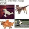40 Hilarious Memes Every Renter Will Appreciate (March 28, 2024)