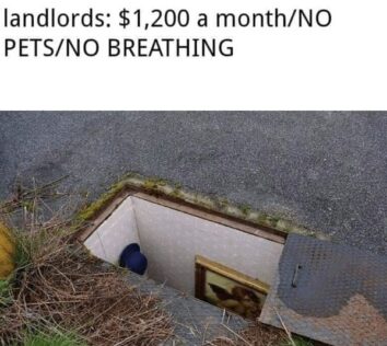 40 Hilarious Memes Every Renter Will Appreciate (March 28, 2024)