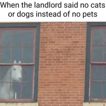 40 Hilarious Memes Every Renter Will Appreciate (March 28, 2024)
