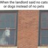 40 Hilarious Memes Every Renter Will Appreciate (March 28, 2024)