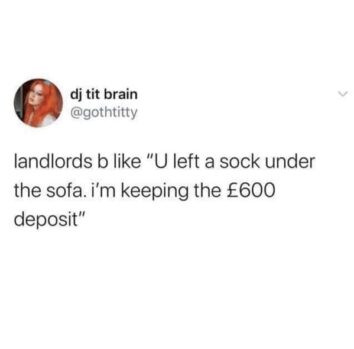 40 Hilarious Memes Every Renter Will Appreciate (March 28, 2024)