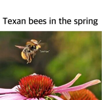 40+ Funny Memes To Kick Off Spring With A Smile And A Sneeze (March 15 ...