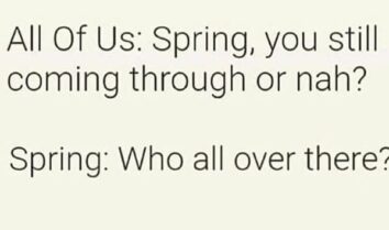 40+ Funny Memes To Kick Off Spring With A Smile And A Sneeze (March 15 ...