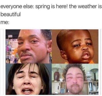 40+ Funny Memes To Kick Off Spring With A Smile And A Sneeze (March 15 ...