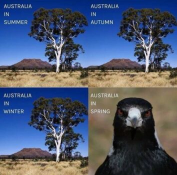 40+ Funny Memes To Kick Off Spring With A Smile And A Sneeze (March 15 ...