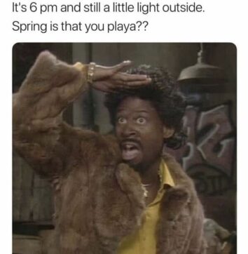 40+ Funny Memes To Kick Off Spring With A Smile And A Sneeze (March 15 ...