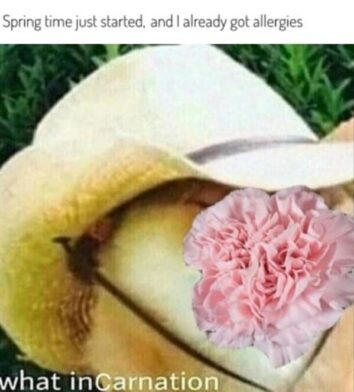 40+ Funny Memes To Kick Off Spring With A Smile And A Sneeze (March 15 ...
