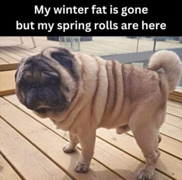 40+ Funny Memes To Kick Off Spring With A Smile And A Sneeze (March 15 ...