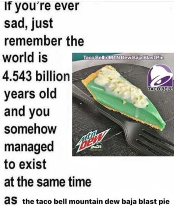 40 Funny Taco Bell Memes That Are The Perfect Side Dish To Your Fourth ...