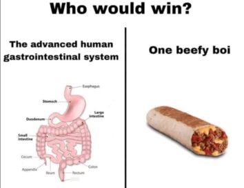 40 Funny Taco Bell Memes That Are The Perfect Side Dish To Your Fourth ...