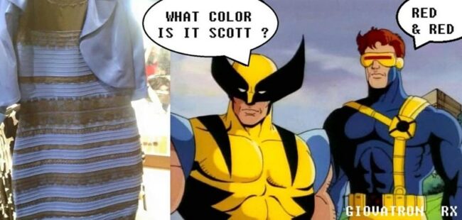 45 Funny X-Men Memes To Get Ready For The New Series Dropping This Month