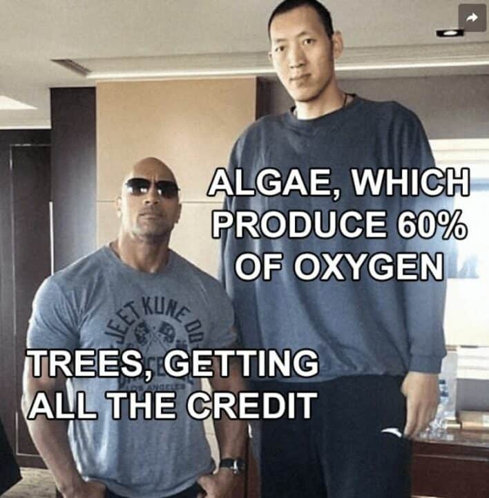 43 Science Memes Funnier Than A Beaker Full Of Buttonholes (March 19, 2024)