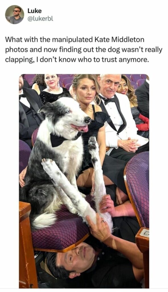 35 Funniest Kate Middleton Missing Tweets Worth Following Down A Rabbit ...