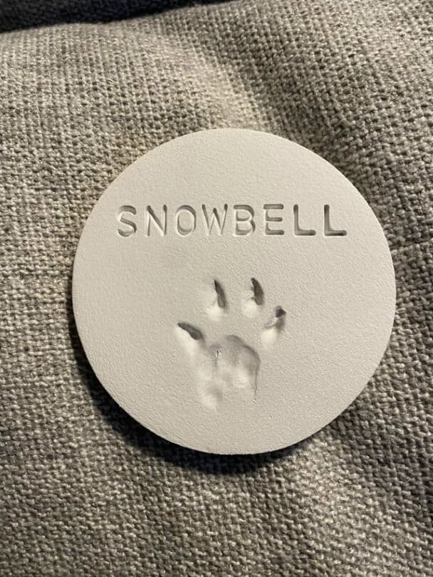 40 Most Mildly Infuriating Fails From This Month (March 26, 2024)