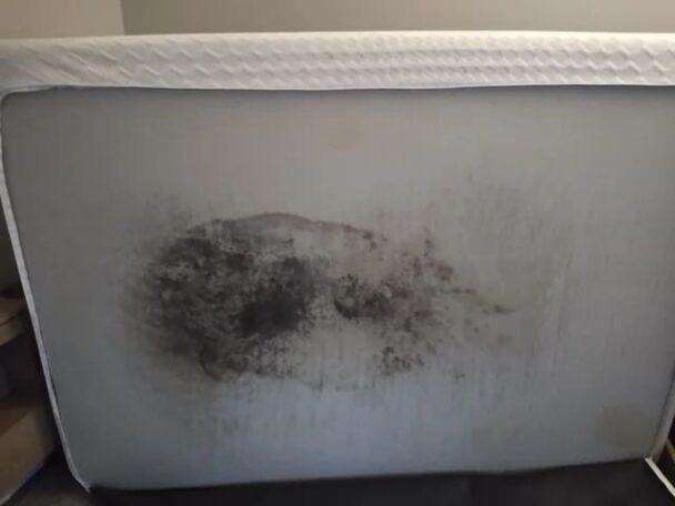 40 Most Mildly Infuriating Fails From This Month (March 26, 2024)