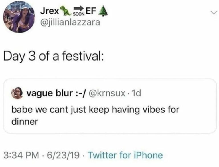 40 Funny Music Festival Memes For People Who Don't Mind Being Filthy ...