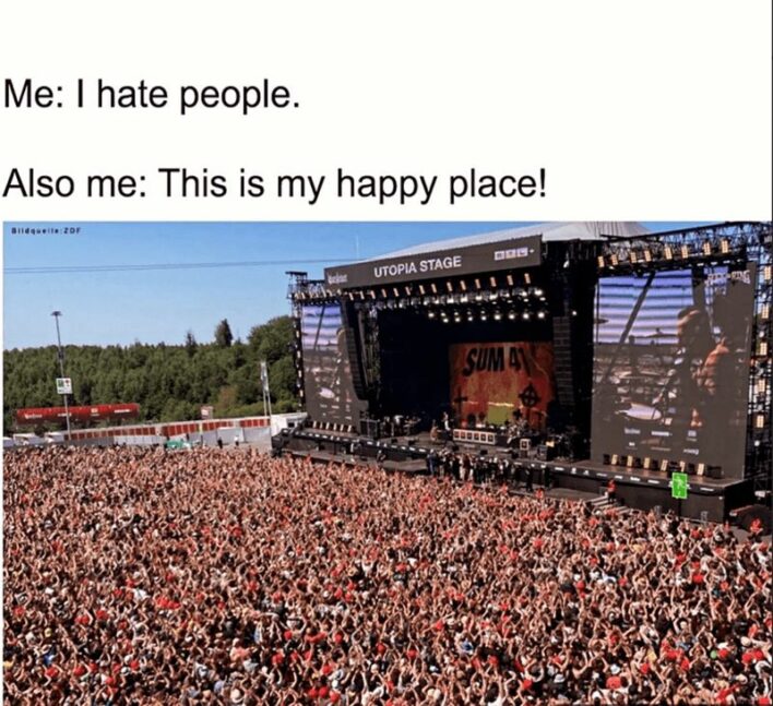 40 Funny Music Festival Memes For People Who Don't Mind Being Filthy ...