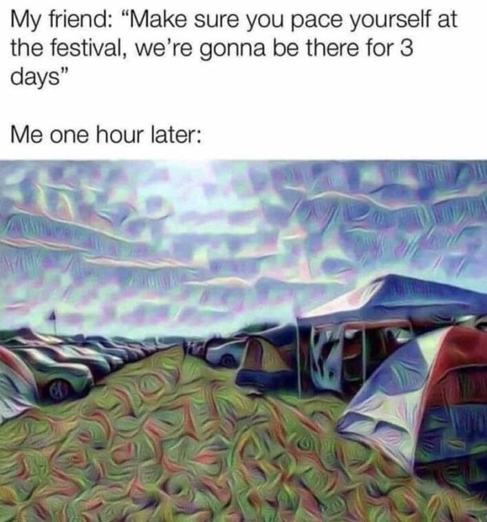 40 Funny Music Festival Memes For People Who Don't Mind Being Filthy ...
