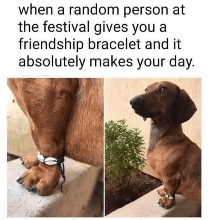 40 Funny Music Festival Memes For People Who Don't Mind Being Filthy ...