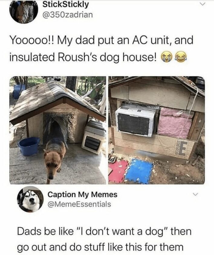 25 Relatable Dog Parent Memes For Owners Who Treat Their Pet Like Their ...