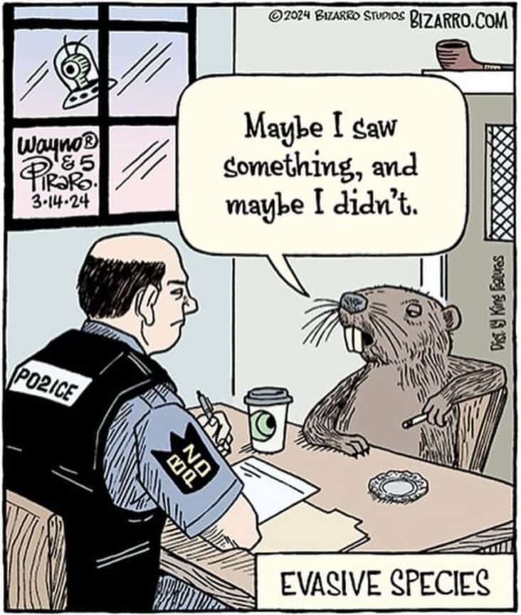 35 Funny One-Panel Comics From "Bizarro" Cartoonist Dan Piraro