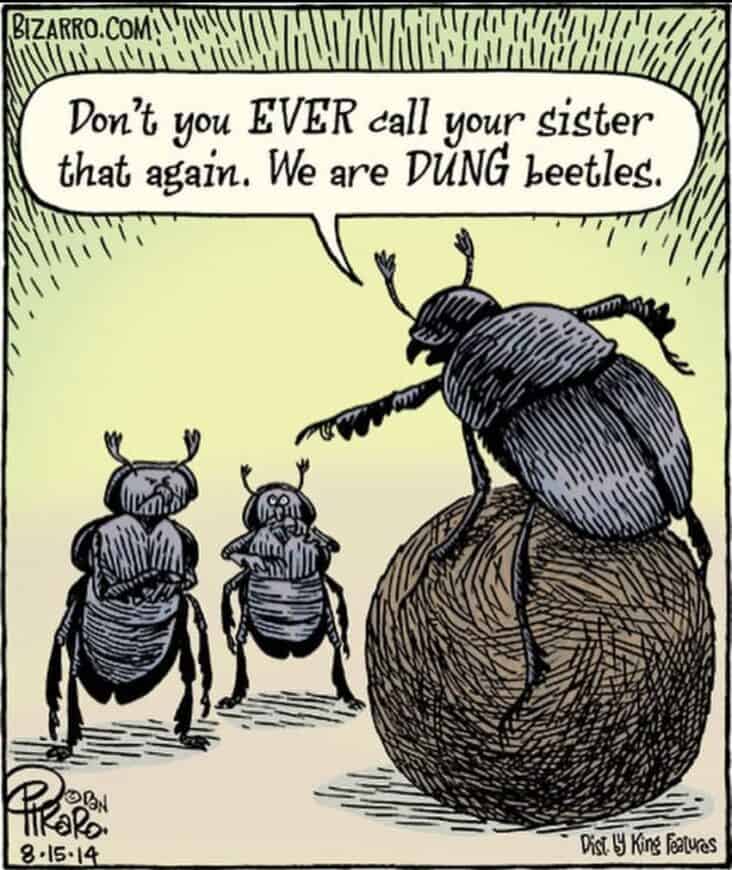 35 Funny One-Panel Comics From "Bizarro" Cartoonist Dan Piraro