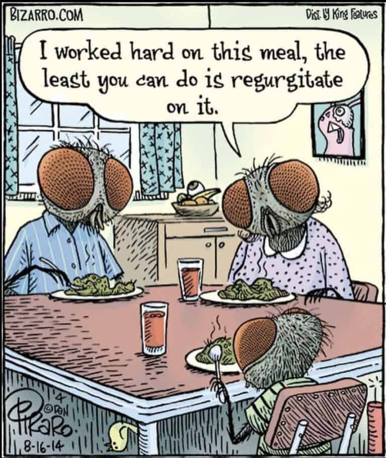 35 Funny One-Panel Comics From "Bizarro" Cartoonist Dan Piraro
