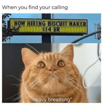 45 Funny Memes That Showcase Orange Cat Behavior In All Its Glory (March 21, 2024)