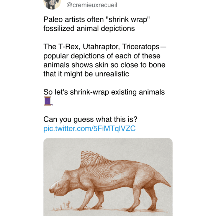 20 "Shrink Wrap" Animals From Paleo Artist Shows Today's Animals ...