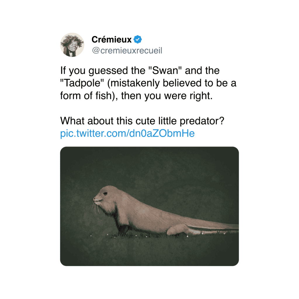 20 "Shrink Wrap" Animals From Paleo Artist Shows Today's Animals ...