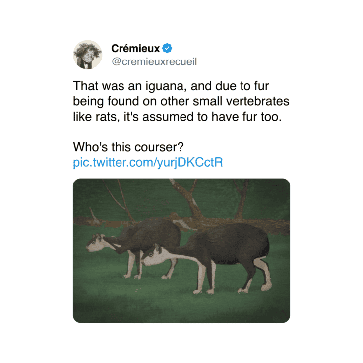 20 "Shrink Wrap" Animals From Paleo Artist Shows Today's Animals ...