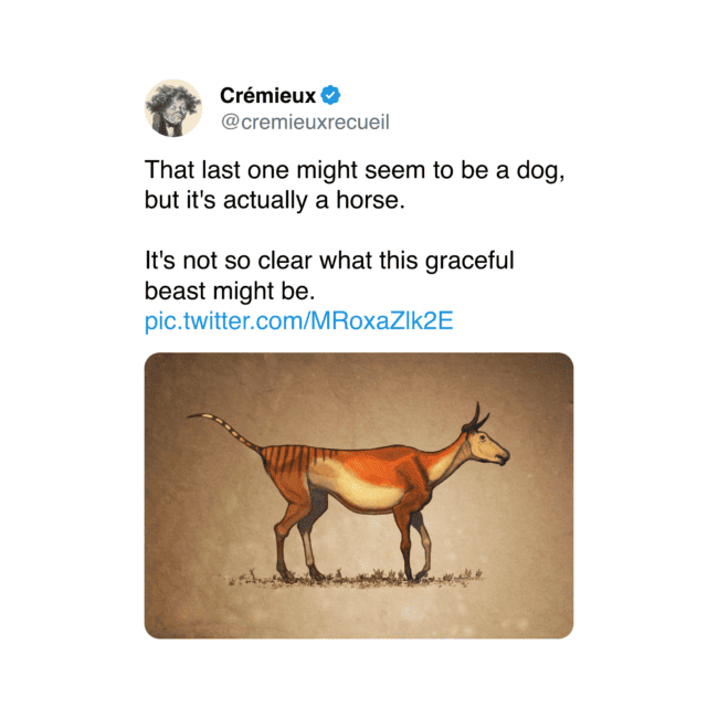 20 "Shrink Wrap" Animals From Paleo Artist Shows Today's Animals ...