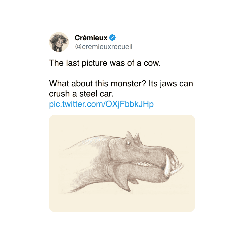 20 "Shrink Wrap" Animals From Paleo Artist Shows Today's Animals ...