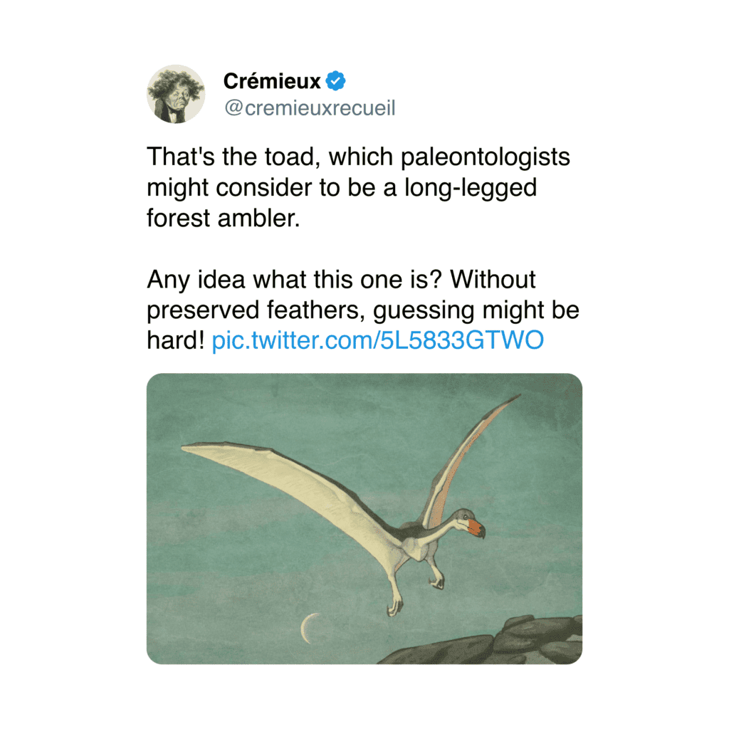 20 "Shrink Wrap" Animals From Paleo Artist Shows Today's Animals ...