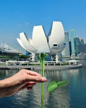 35 Captivating Photos That Redefine Reality Through Perspective