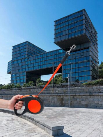 35 Captivating Photos That Redefine Reality Through Perspective