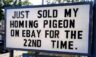 50 Funny Signs That Are Either Designed To Be Hilarious On Purpose Or ...