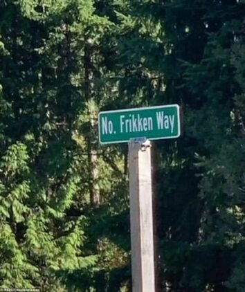 50 Funny Signs That Are Either Designed To Be Hilarious On Purpose Or ...