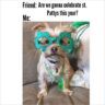 50 Funny St. Patrick's Day Memes To Enjoy Over A Pint Of Green Beer