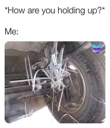 45+ Hilariously Relatable Memes For Anyone Riding The Struggle Bus ...