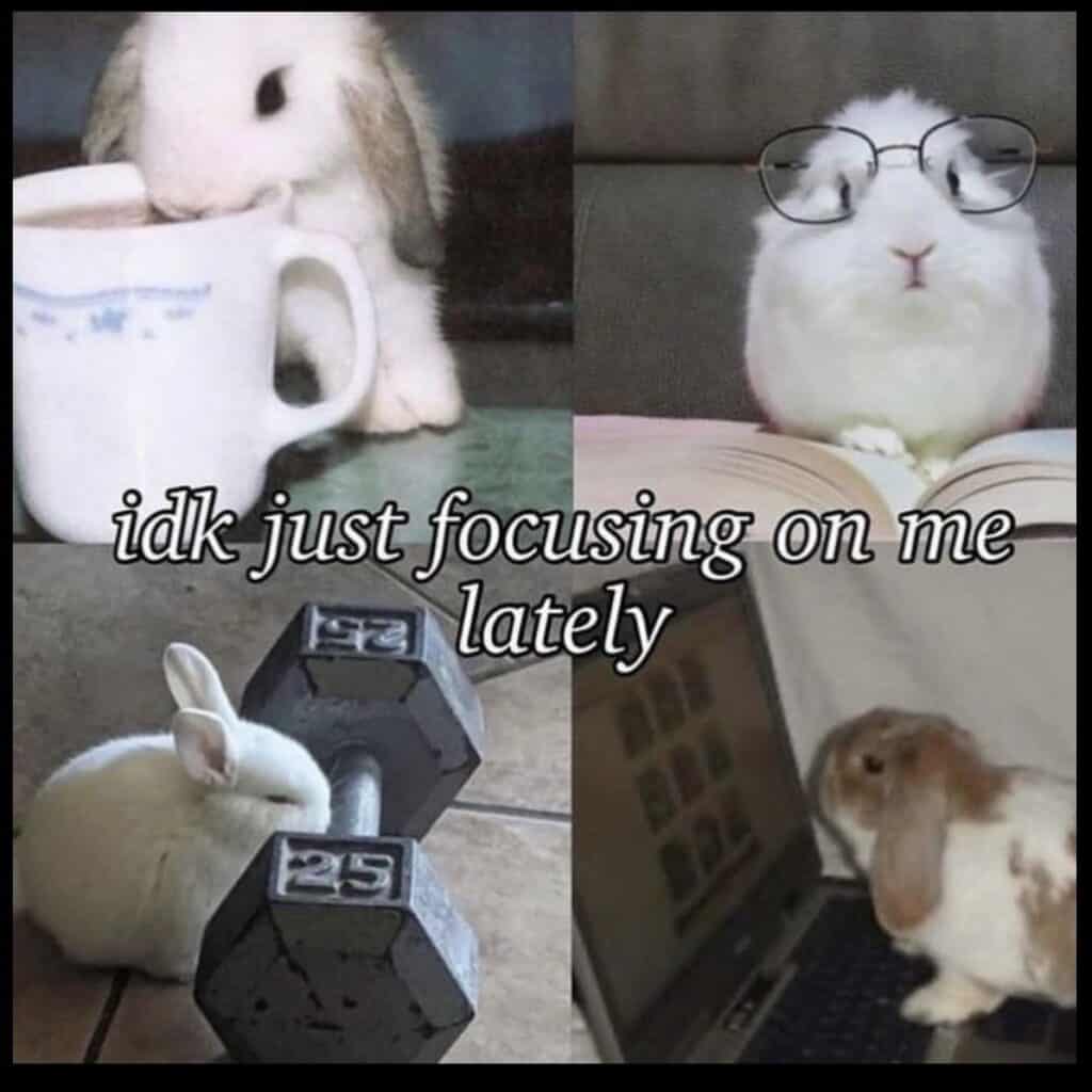 34 Funny Bunny Memes For Folks Excited To Celebrate A Hoppy Easter