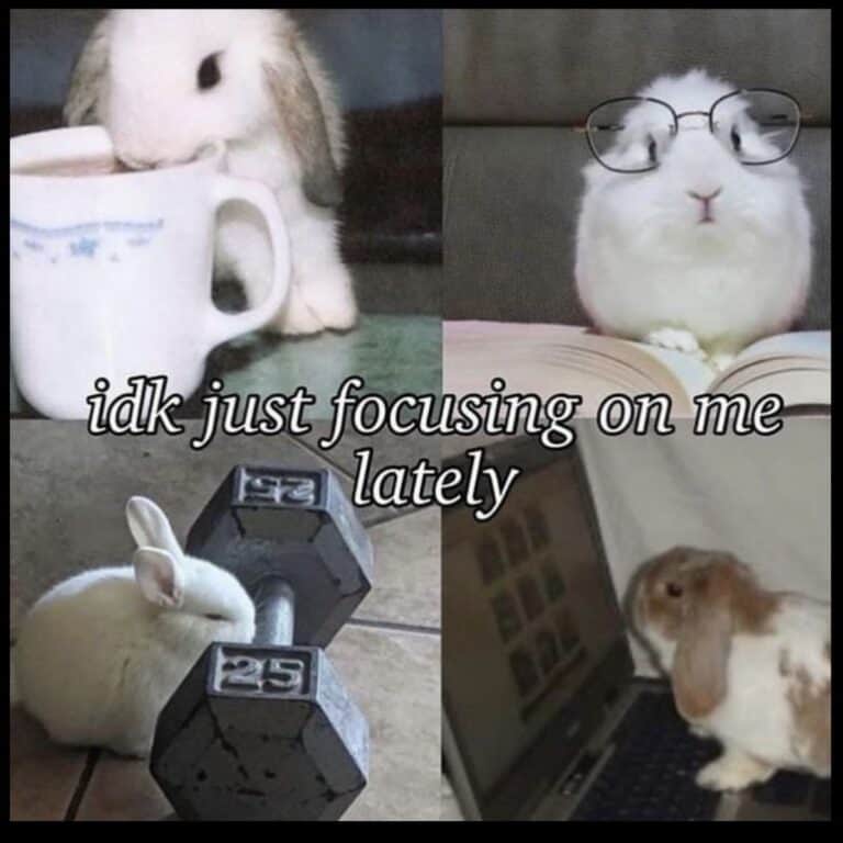 34 Funny Bunny Memes For Folks Excited To Celebrate A Hoppy Easter