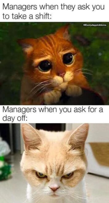 45 Hilariously Relatable Work Memes To Help You Escape The Workday ...